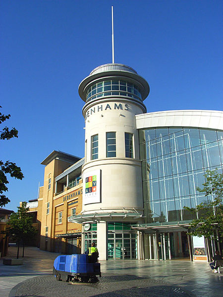 Basingstoke History